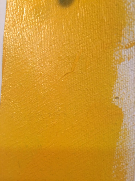 Cad Yellow Cutomized Oil Paint Robert Doak Colors – Robert Doak Art