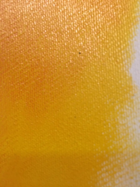 Indian Yellow Customized Oil Paint Robert Doak Colors – Robert Doak Art